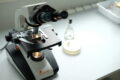 Stereomikroskope: 3D-Sehen für größere Objekte erklärt