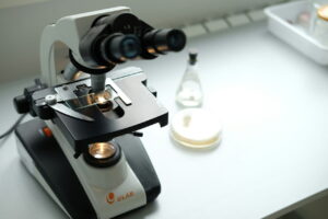 Stereomikroskope: 3D-Sehen für größere Objekte erklärt